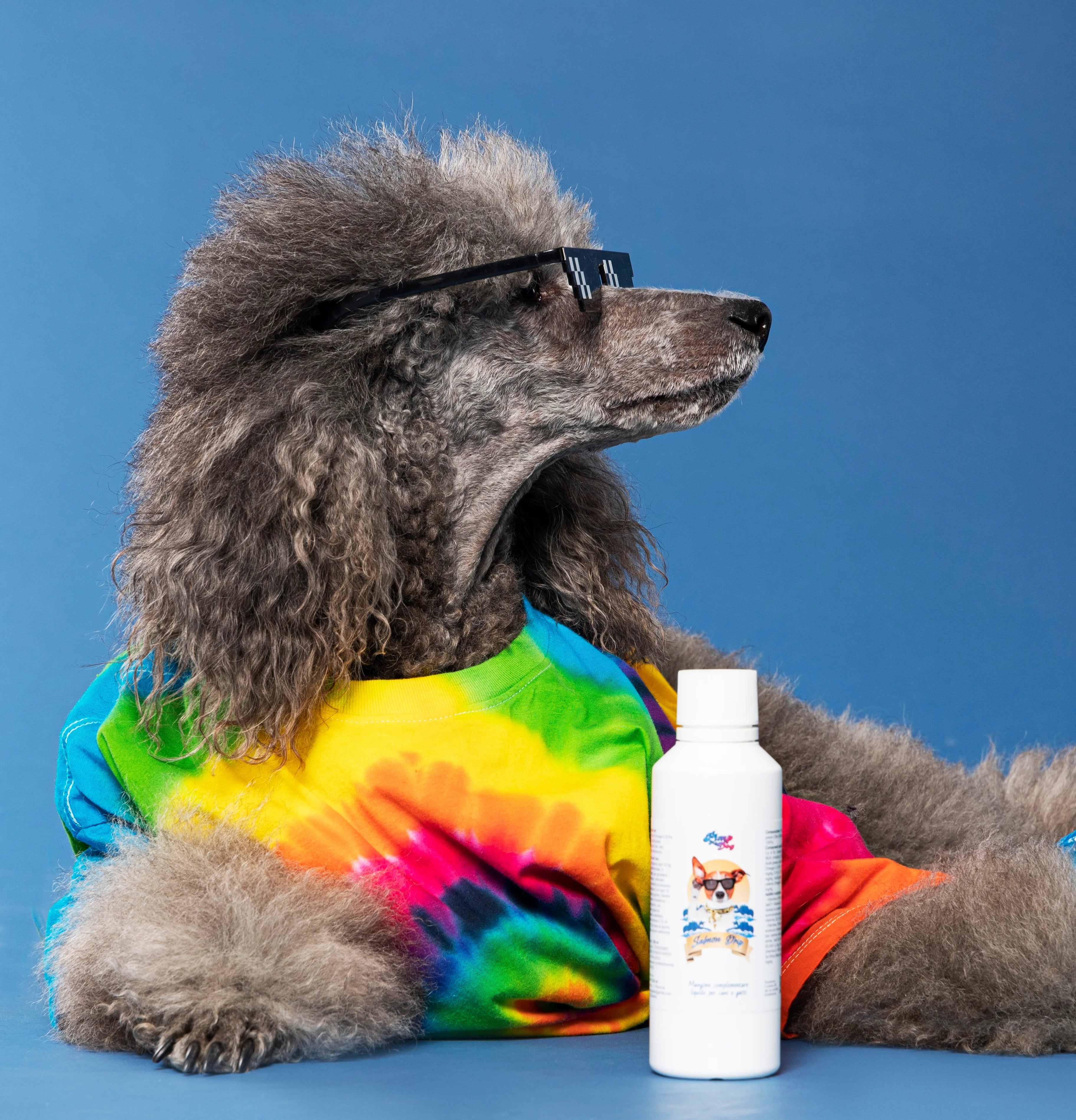 I Nostri Prodotti — Pimp My Dog